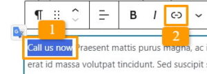 4 Ways Make a Phone Number Clickable in WordPress in 2024